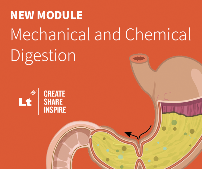 New for physiology educators: Take a look inside the Mechanical and ...