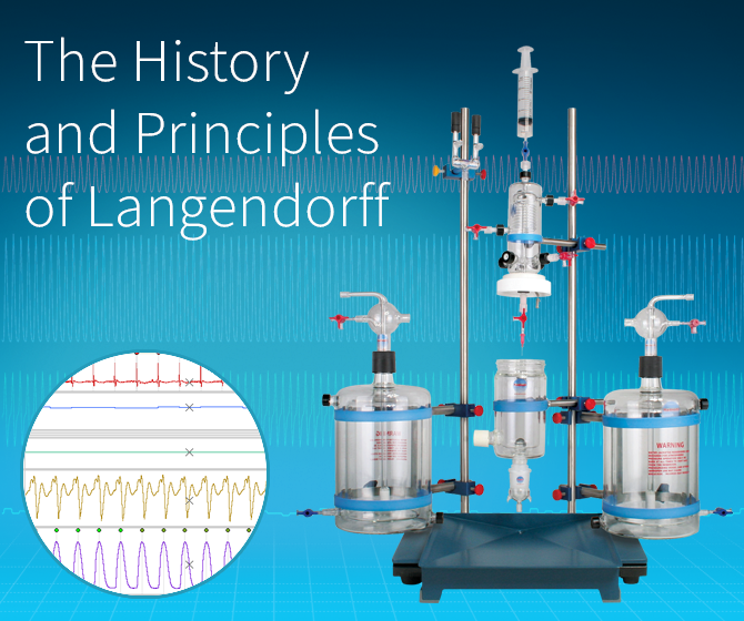 Dr Melanie White - The History and Principles of Langendorff ...