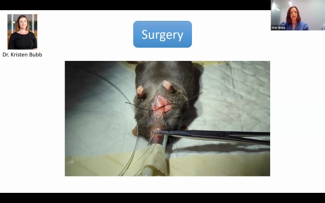 LabChart Support | ADInstruments