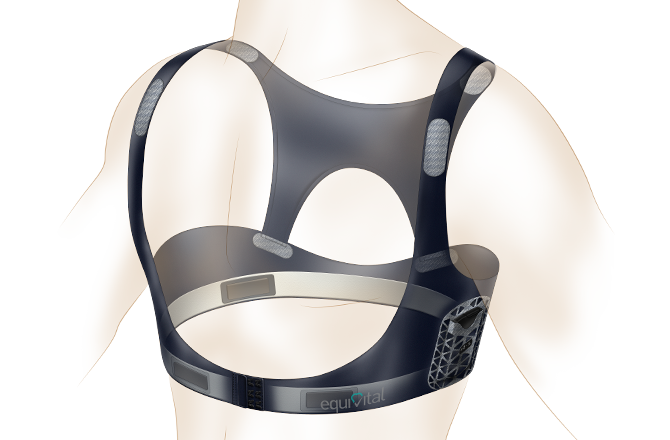 Respiratory Belts | ADInstruments