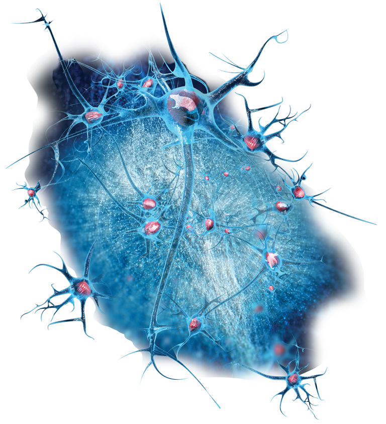 Neuroscience | ADInstruments