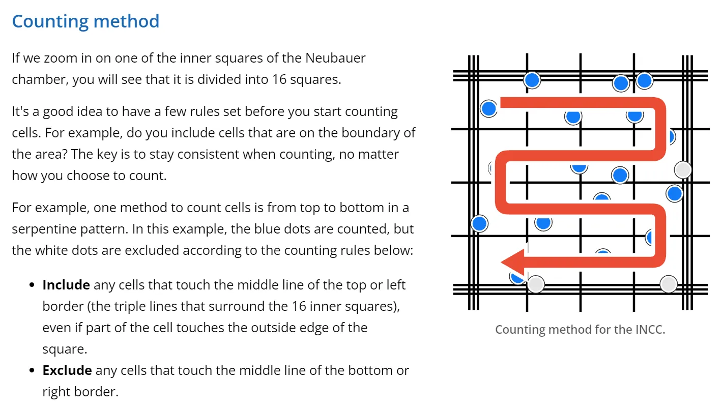 How to use inclusive language when teaching physiology | ADInstruments