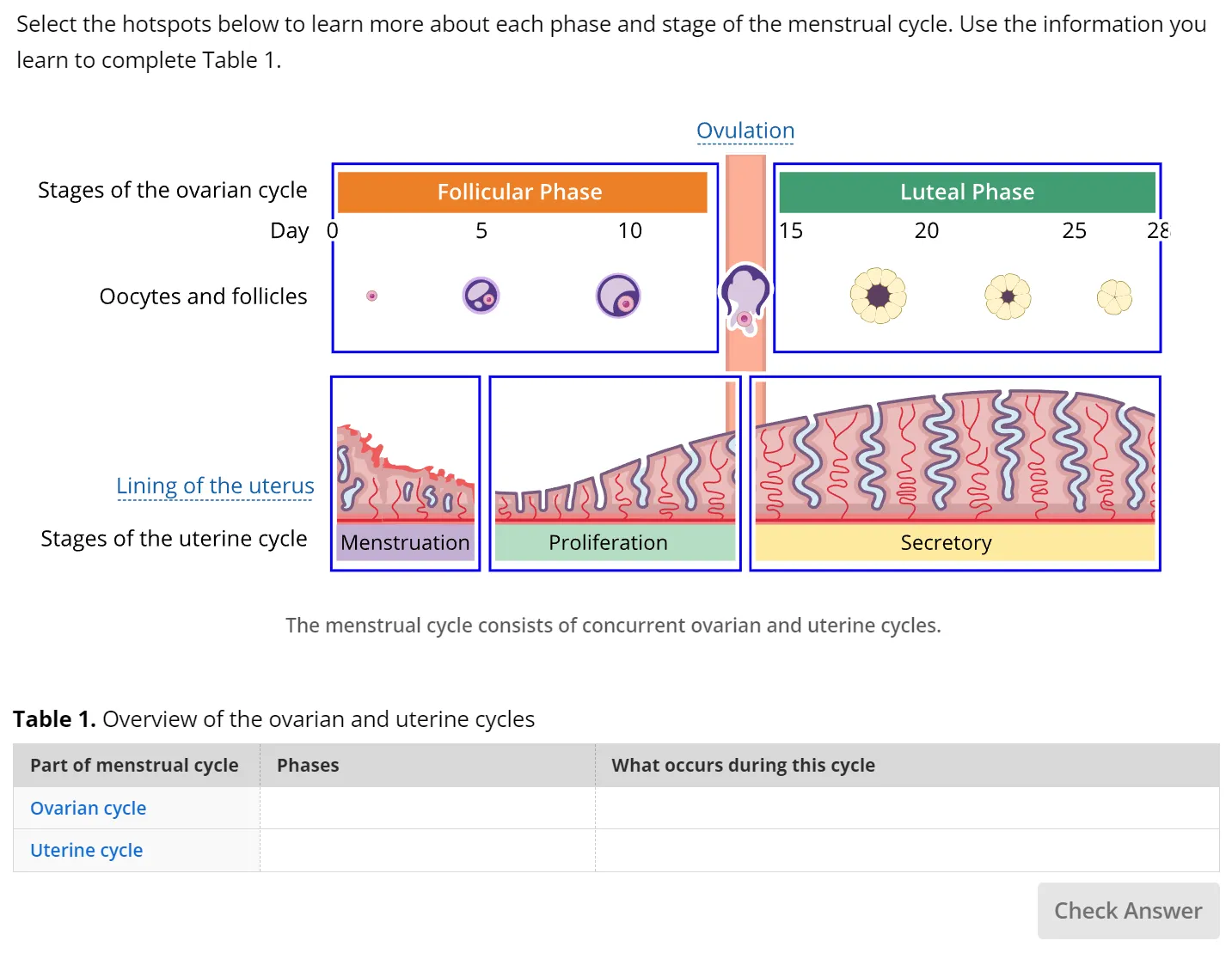How to use inclusive language when teaching physiology | ADInstruments