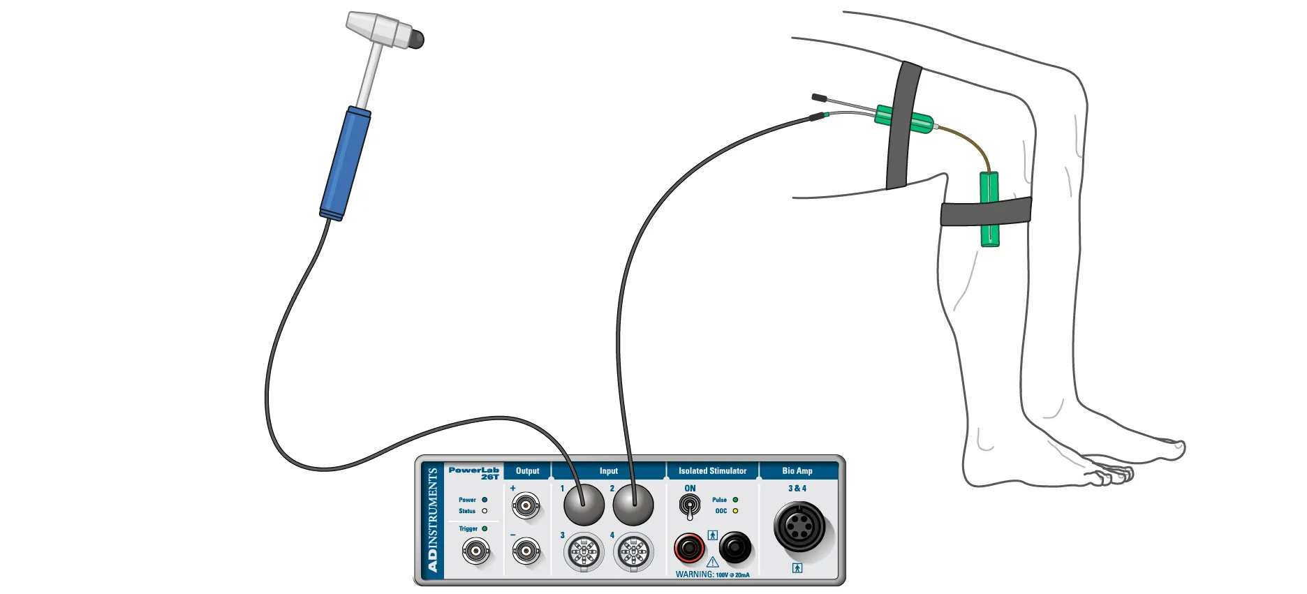 [Full protocol] Teach them a lesson they'll never forget! The Myotatic ...
