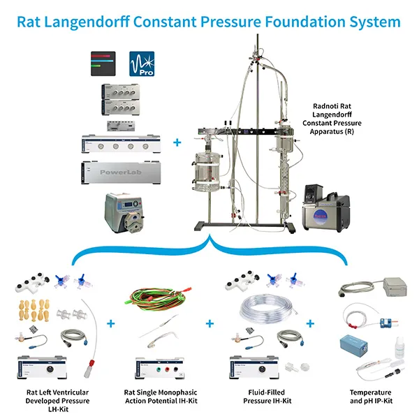 Langendorff perfusion + Isolated Working Heart Systems & Data Analysis | ADInstruments