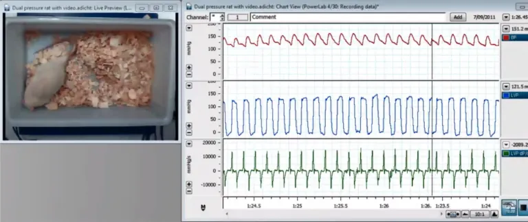 Small Animal Telemetry | Data Acquisition, Signals, Analysis | ADI