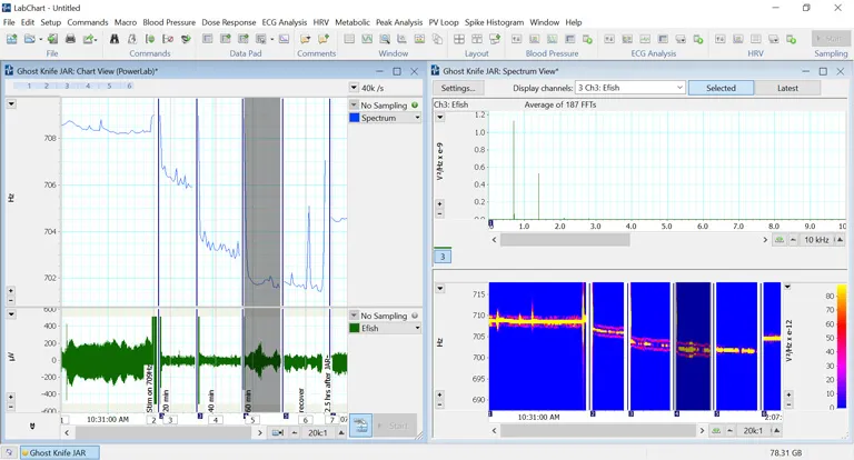 Evoked Responses and Stimulation | ADInstruments