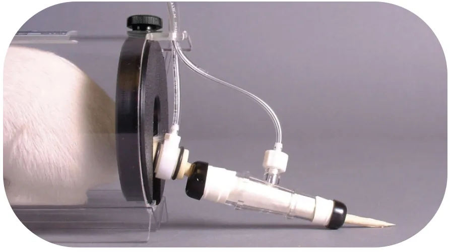 Prolonged liver viability and the Welsh Advanced Neuroimaging Database ...