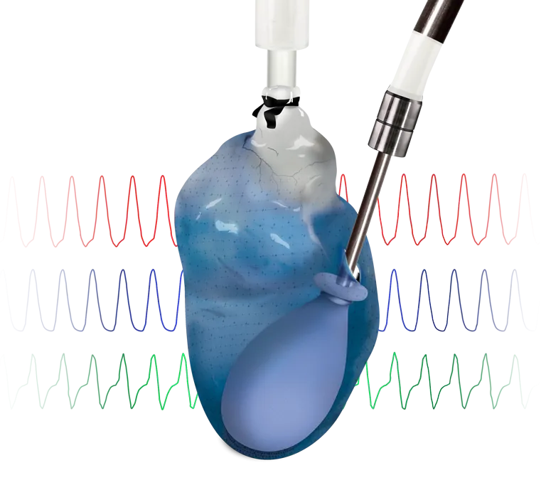 Pharmacology + Isolated Tissue and Organs | ADInstruments