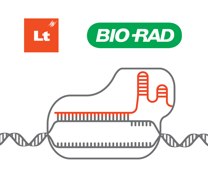 New for Biology Educators: Take a look inside the CRISPR Lab ...