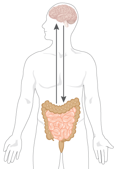 Optogenetic Control of the Enteric Nervous System | Nick Spencer
