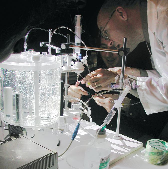 Langendorff vs. Working Heart Perfusion | Isolated Heart Systems | ADI