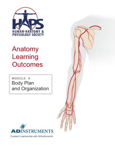 Resources for Educators: The HAPS Anatomy Learning Outcomes ...